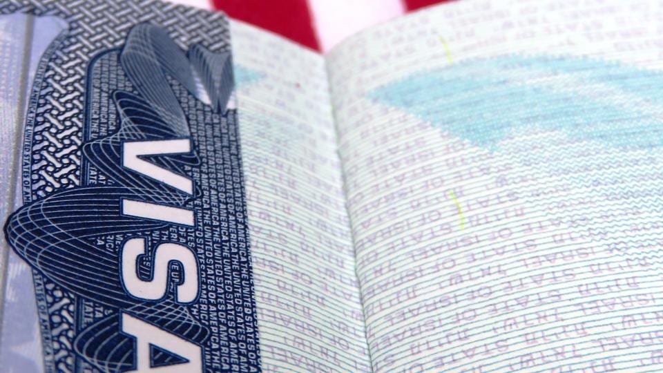 Senators Urge Trump To Temporarily Suspend H 1b Other Guest Worker