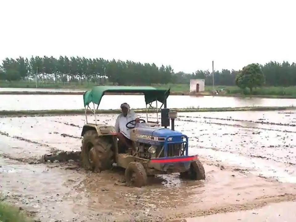 Breaking wheat-paddy cycle a must to save groundwater: CSSRI study ...