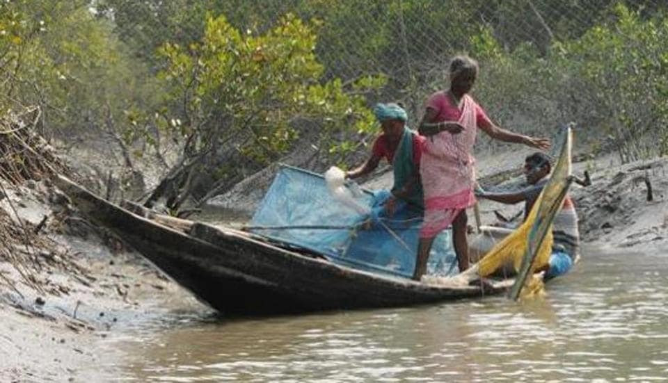 Cyclone Amphan: Rapid response teams to keep eye on tiger movement in ...