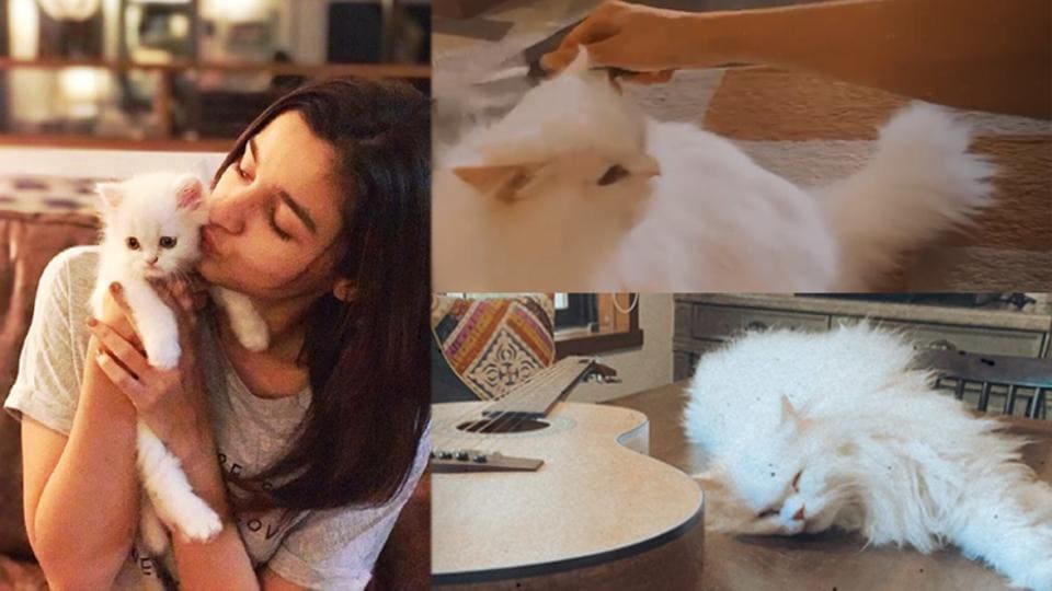 Inside Alia Bhatt’s ‘purrfect’ day with her cat Edward. See pics, video ...