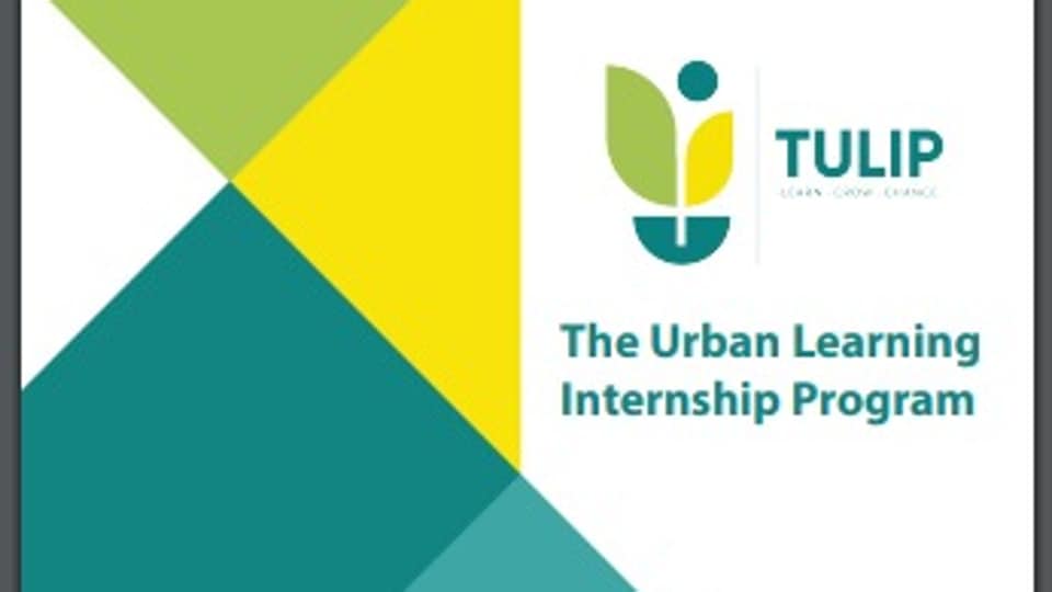 Govt launches TULIP portal to provide internships to graduates ...