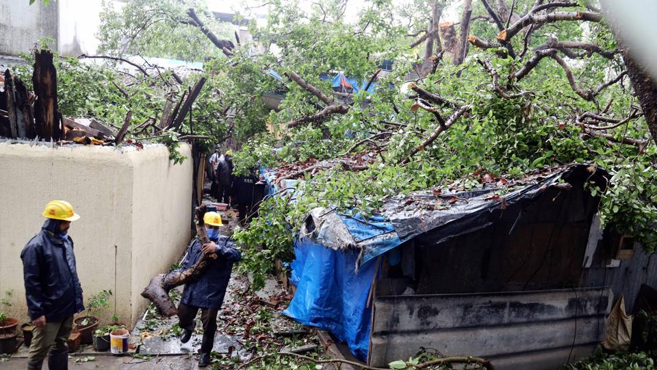 Thane witnesses surge in tree uprooting incidents along with rainfall ...