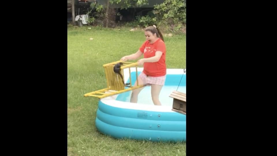 Woman tries to save a squirrel in an inflatable swimming pool. Her ...