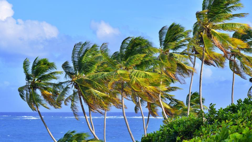 All Work and Play: Barbados to allow year-long stay for remote workers ...
