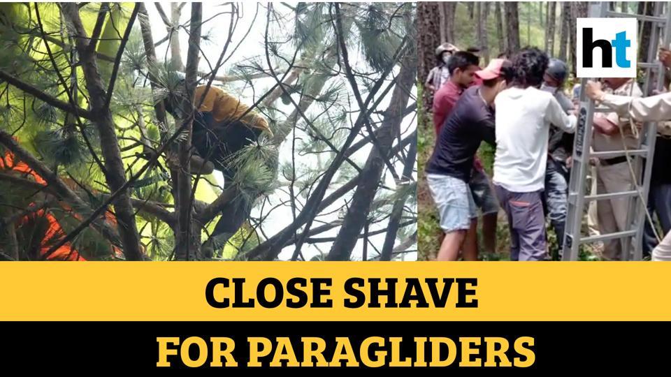 Watch: Paraglider gets stuck in a tree in Dharamshala, two men rescued ...