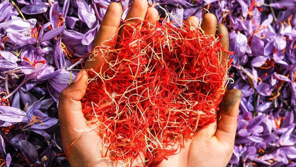 Kashmir’s saffron gets GI tag | Latest News India
