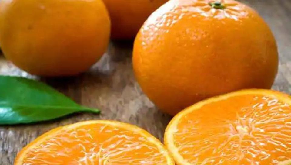 Punjab plans big promotional boost for ‘king fruit’ kinnow in country ...