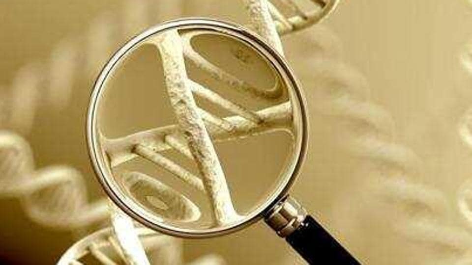 China collecting DNA samples of millions, experts suspect developing ...