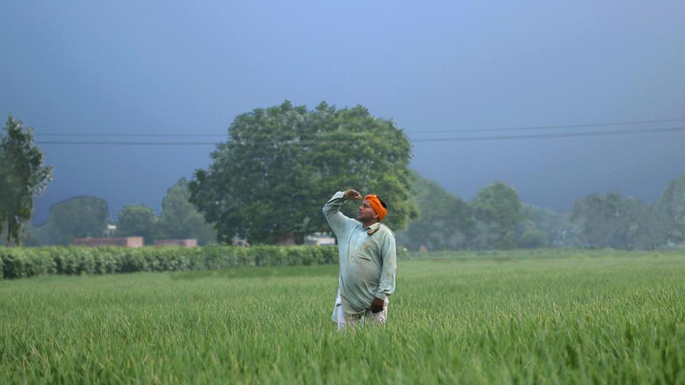 Photos: Generous monsoon rains accelerate India’s crop planting ...