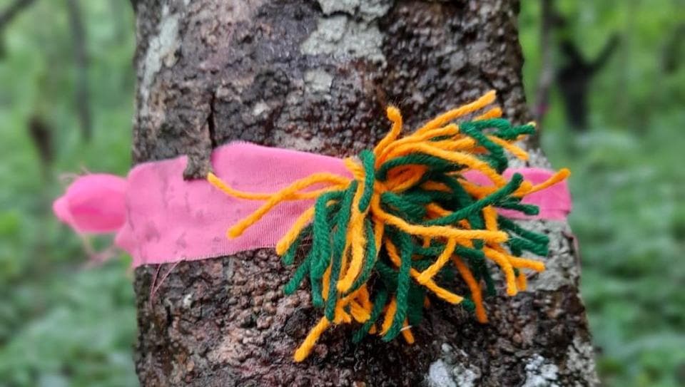 Villagers tie ‘rakhis’ to trees in protest against setting up of IIT ...