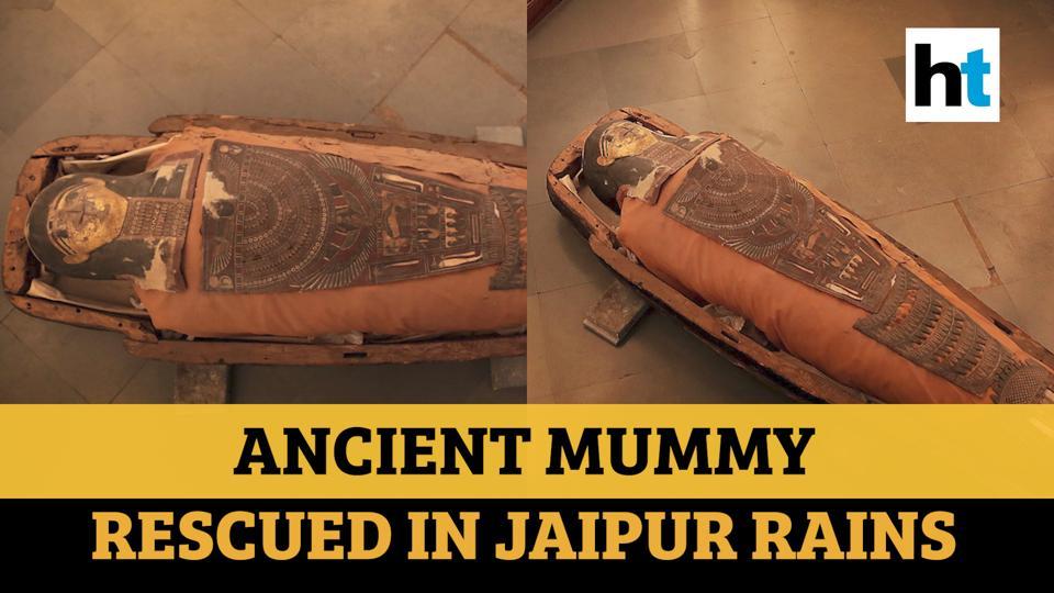 Watch: Ancient Mummy saved in Jaipur from museum’s basement after heavy ...
