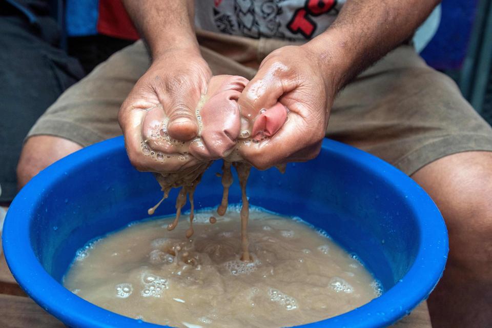 Yagona: Fiji’s kava culture adapts to virus challenge | Hindustan Times