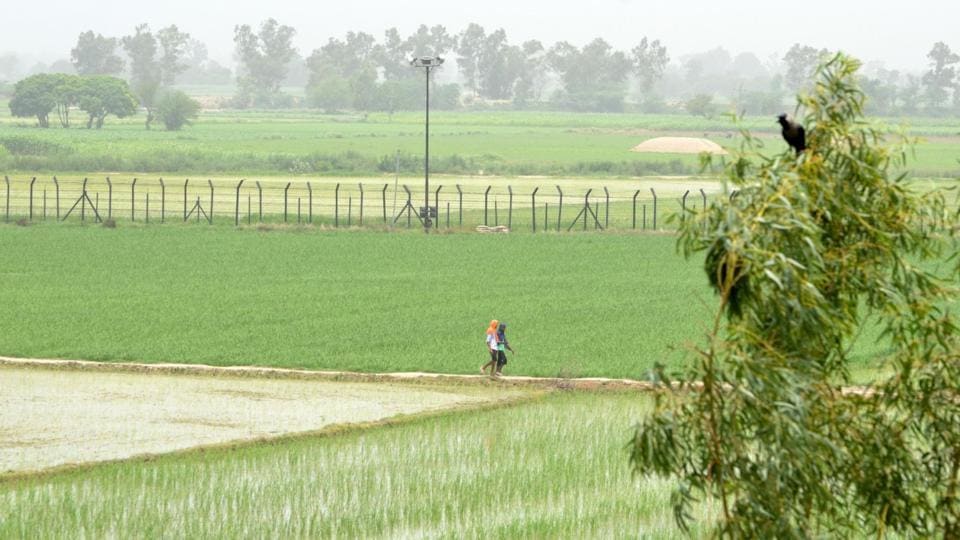 Bsf Shoots Down Five Intruders On Indo Pak Border In Punjabs Tarn