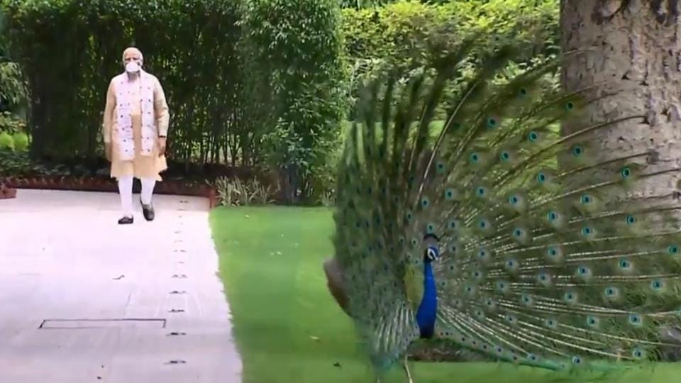 PM Modi shares his precious moments. It features a peacock | India News