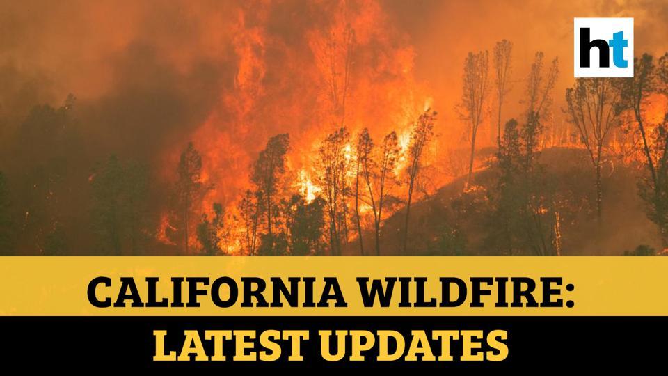 California wildfire decimates 1 million acres of land: All you need to ...