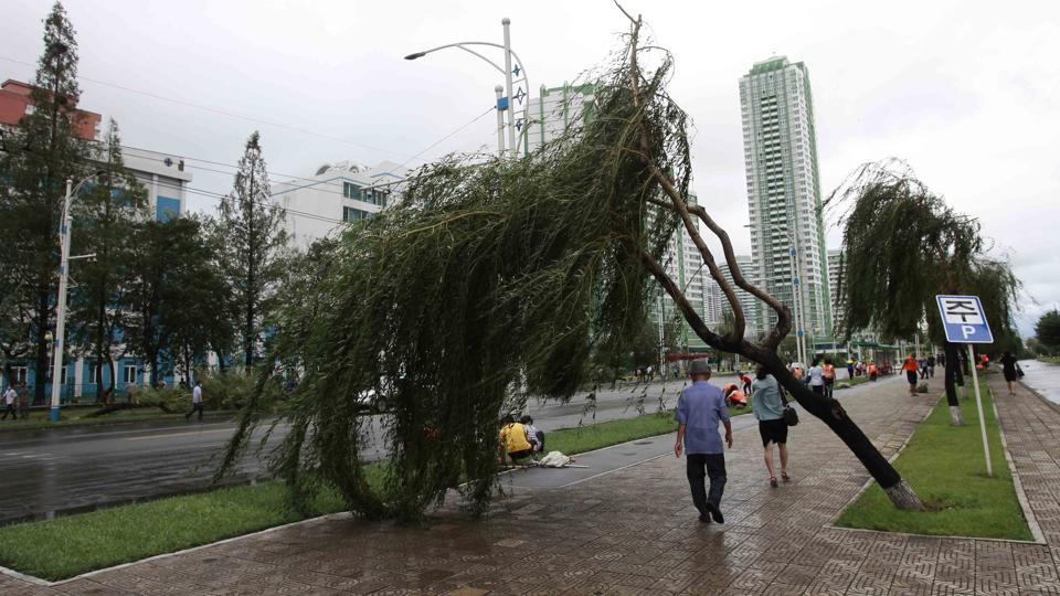 Typhoon damages buildings, floods roads on Korean Peninsula | World News