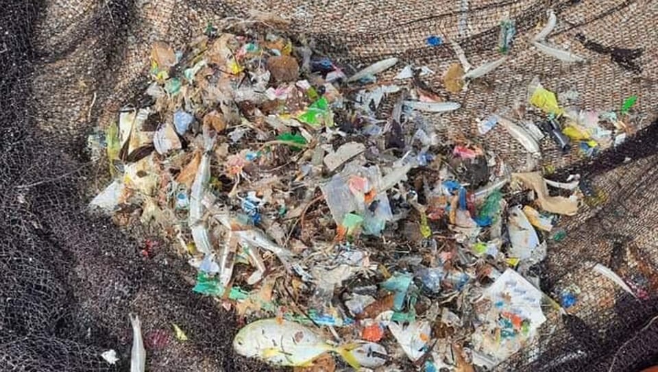 Season’s first catch nets more plastic than fish in South Goa | Latest ...