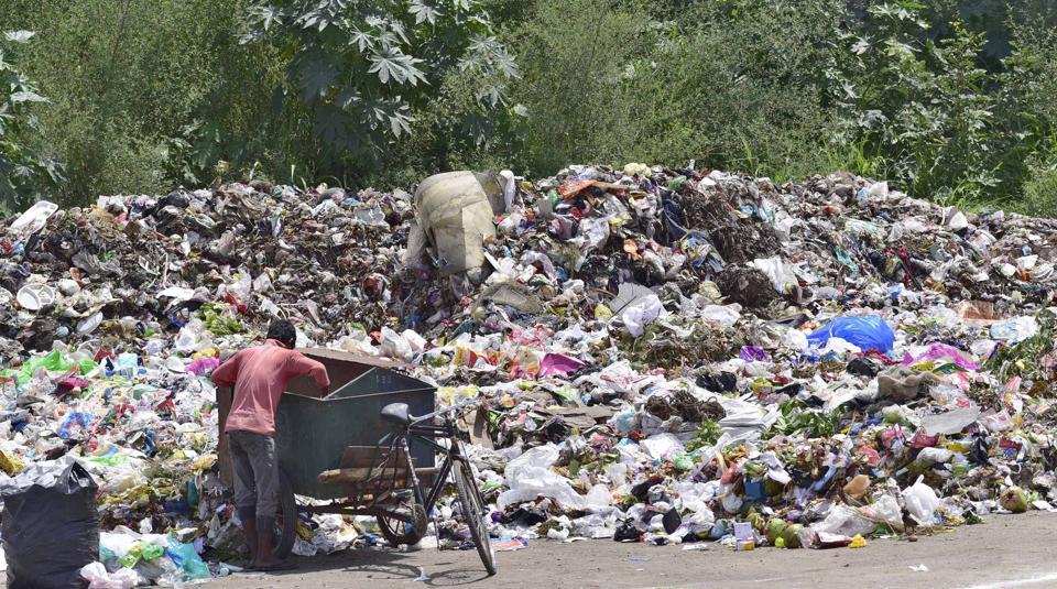 Now, pay fine for not segregating household waste, littering ...
