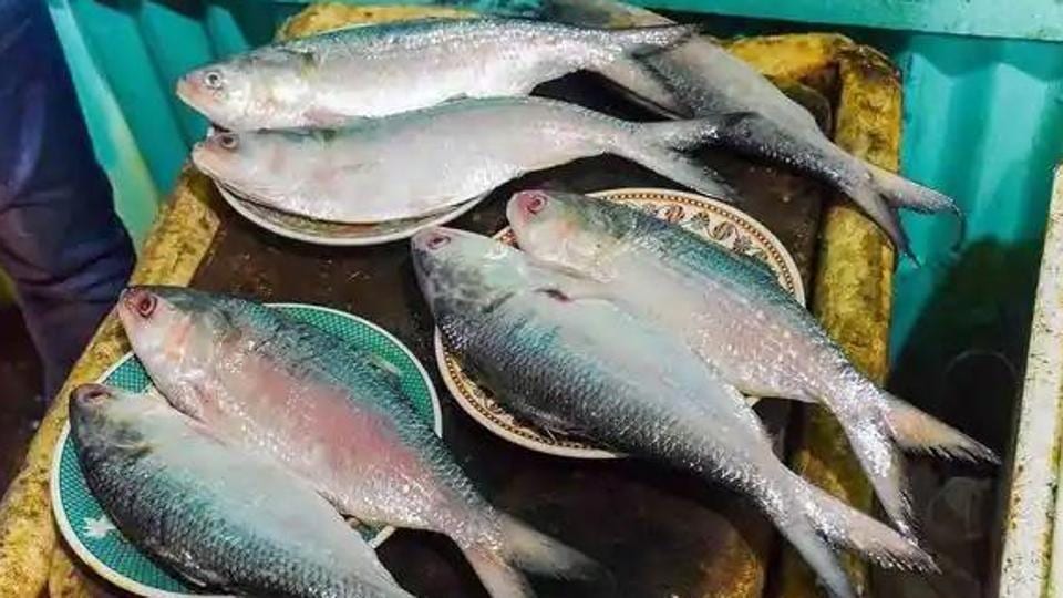 100 tonnes of hilsa from Bangladesh reaches Bengal, more on the way ...
