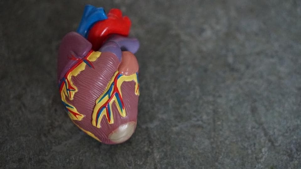 Recurrent heart attacks on the decline, yet risk remains high: Study ...