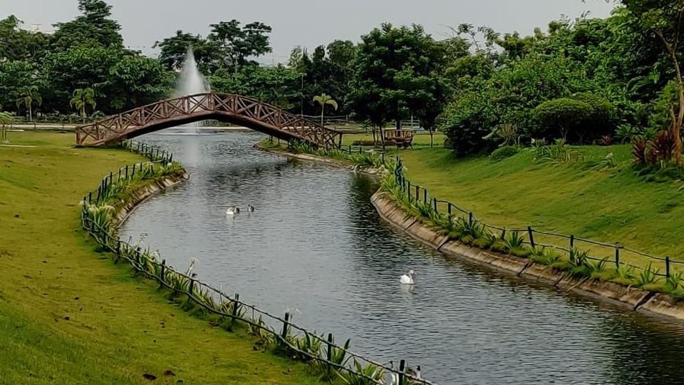 Images of ‘urban forest’ in Odisha will soothe your soul. Seen them yet ...