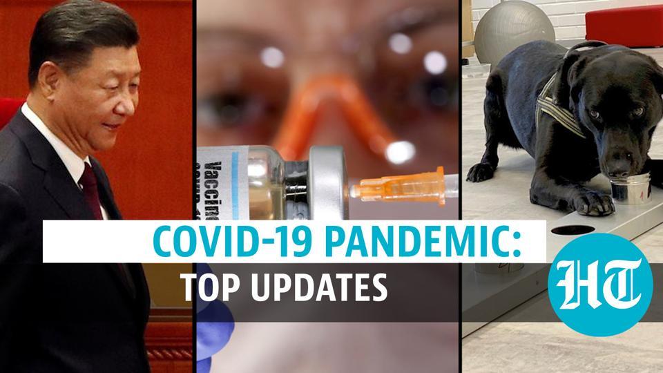 Covid update: Dogs may sniff virus; Sisodia has dengue too; WHO action ...