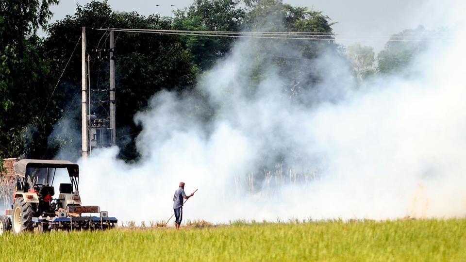 Ensure farmers get easy access to stubble-removal machines: EPCA to ...