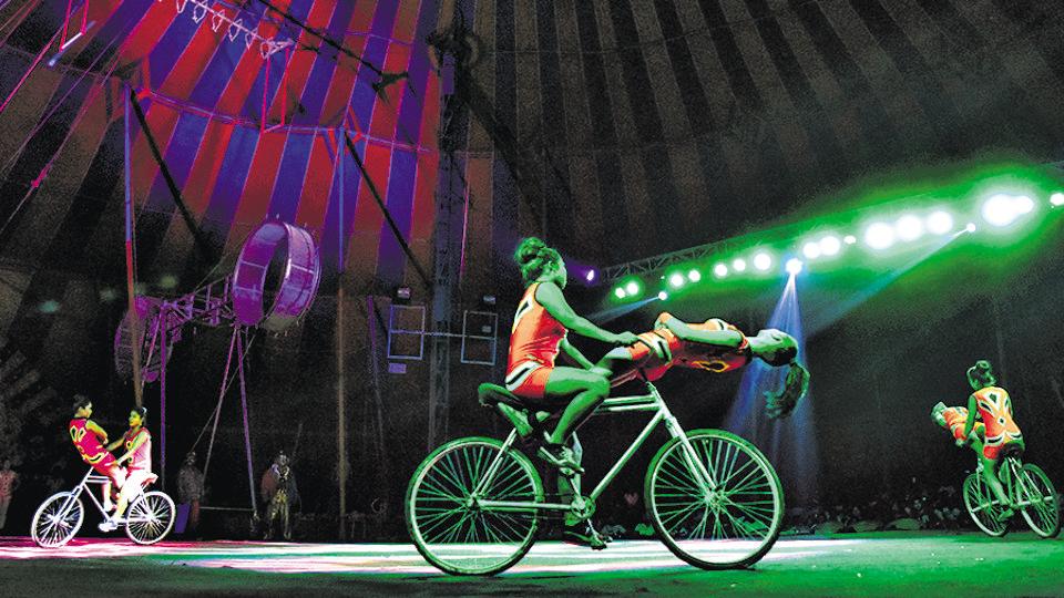 Digital shows offer hope to performing artistes of Rambo circus ...
