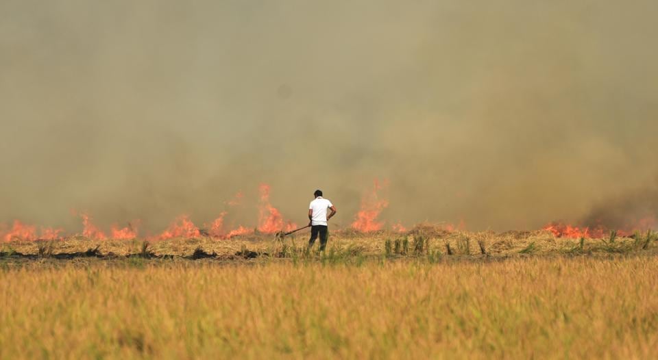 Fields on fire: 1,200 cases of stubble burning in 2 weeks in Punjab ...