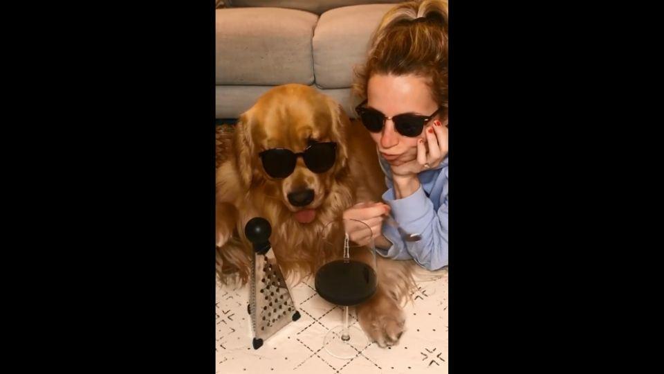 DJ Doggo in the house: Watch dog ‘make’ music with its human | Trending
