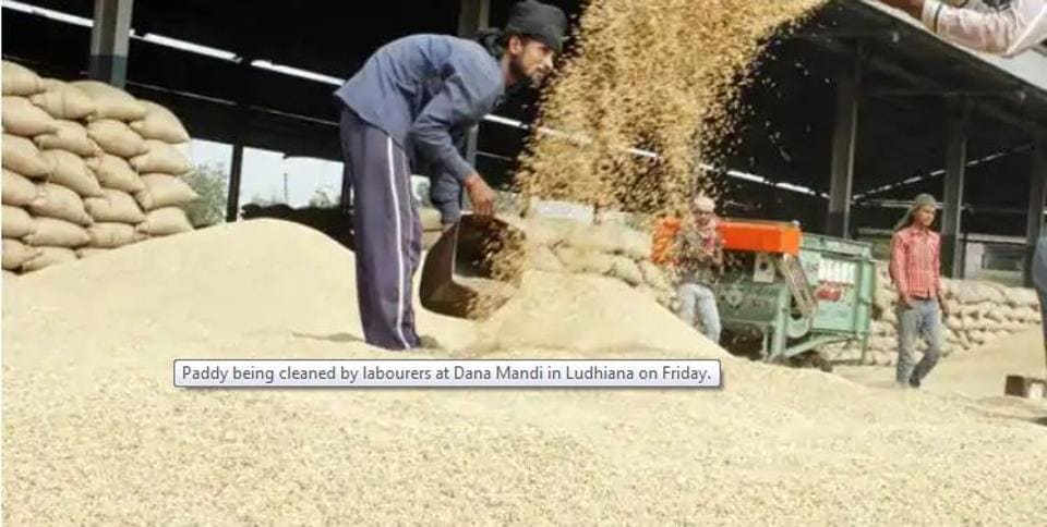 FCI trails in procurement target this year too, buys just 1.2% of ...