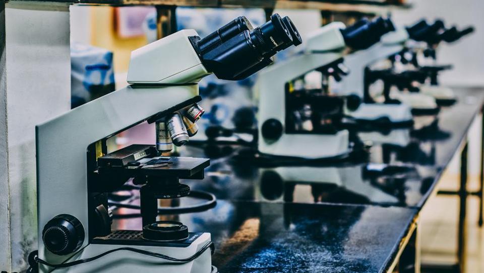 ‘Medical microrobots’, ‘room temperature superconductivity’ among 2020 ...