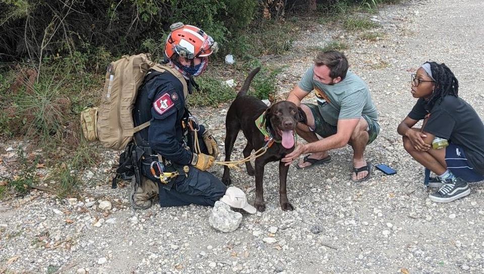 Dog survives 70 foot fall from Texas cliff. Tale of its rescue is ...