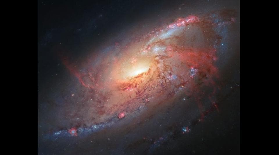 Galaxy M106 has a rather unusual set of spiral arms. Check it out ...