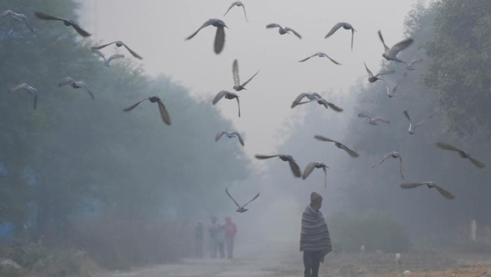 Photos: Delhi records lowest November temperature since 2006 ...