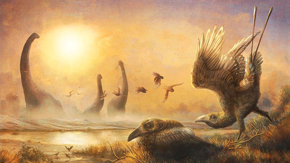 Bird with scythe-like beak that lived 68 million years ago shed light ...