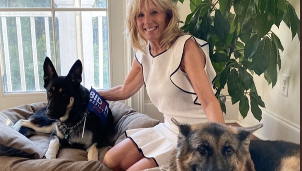 The first pets of America: From Kennedy horses to Obama’s dogs | World News