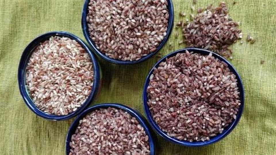 Himachal to bring 4,000 hectare land under red rice cultivation in 5 ...