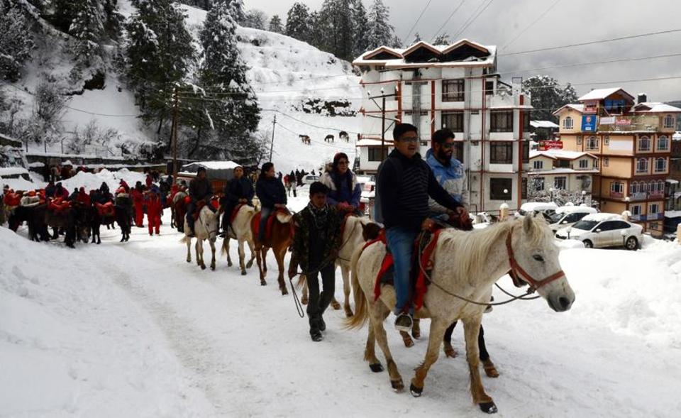 It’s back on track for Kufri’s pony owners as snow draws tourists to ...