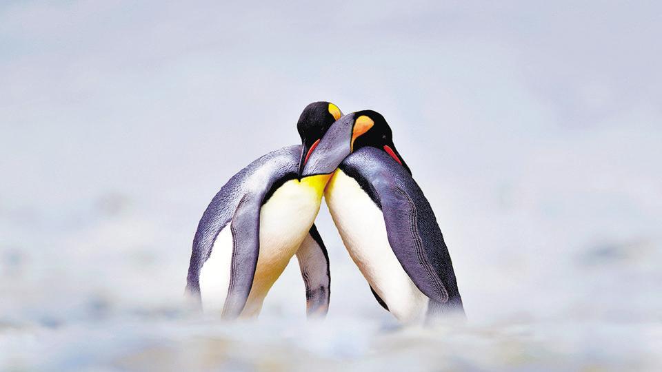 If you feel the love, say what you feel: With Love by Simran Mangharam ...