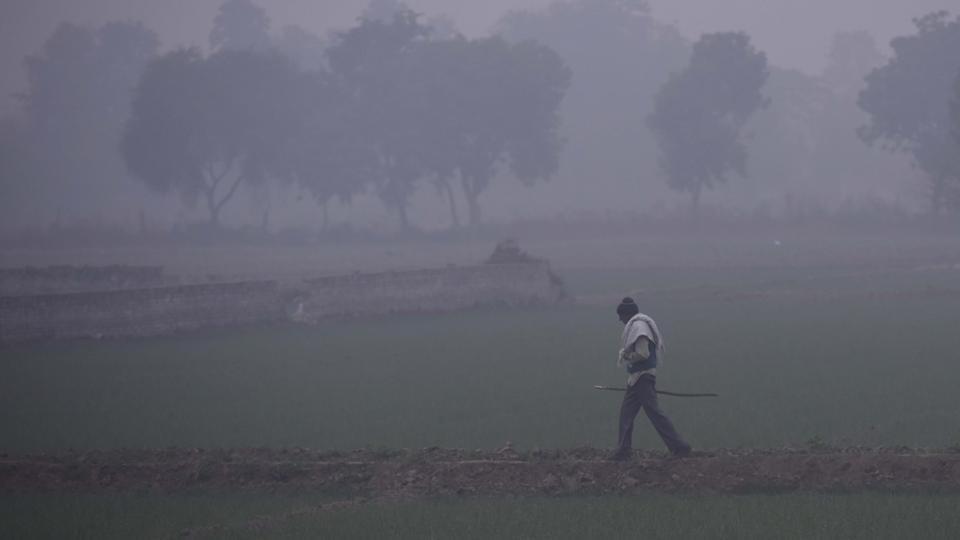 Brief relief likely from extreme cold over northwest India | Latest ...