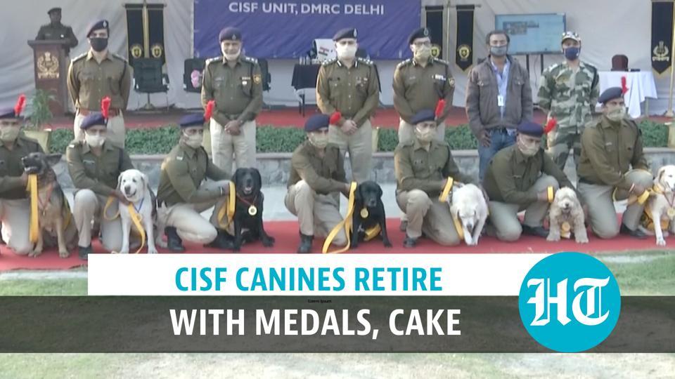 Watch: CISF dogs who secured Delhi Metro retire with medals and ...