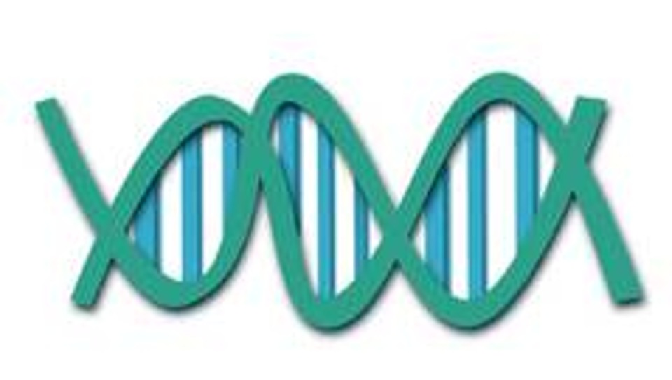 New mammal reference genome helps ID genetic variants for human health ...