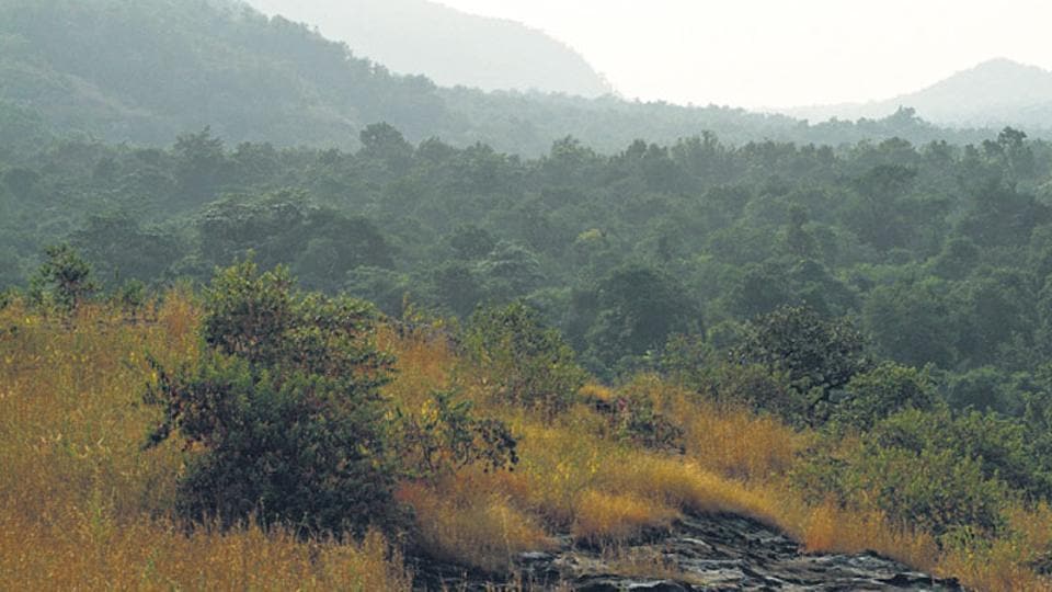 In a first, compensatory afforestation of projects in Andaman to be ...