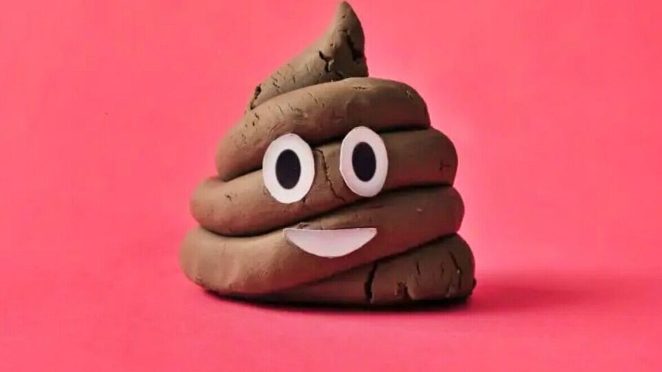 குடல் ஆரோக்கியம் பற்றி உங்கள் மலம் கூறும் கதைகள்...