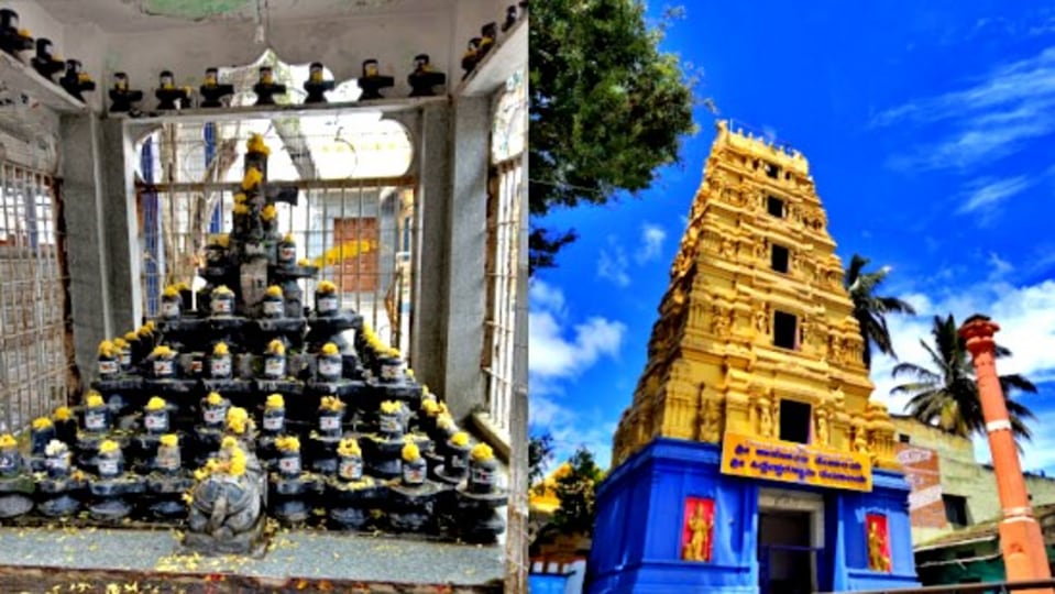 Hasanamba Temple Open: ஹாசனாம்பா கோயில் நடை நாளை திறப்பு!