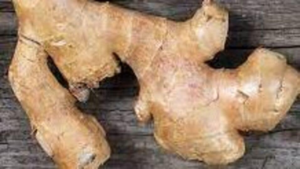 BENEFITS OF GINGER: இஞ்சி எதனுடன் எப்படி சாப்பிட்டால் என்ன பலன் கிடைக்கும்?