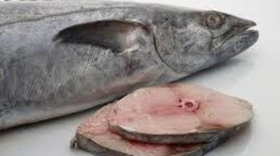 kasimedu Fish price : காசிமேட்டில் களைகட்டிய மீன் விற்பனை!