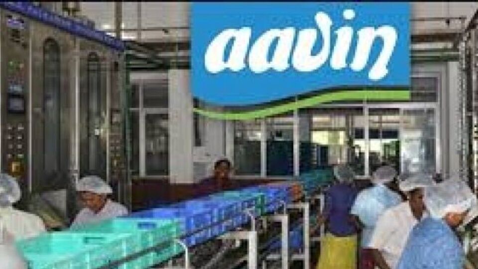 Aavin Employees Fired : ஆவினில் சட்டவிரோத நியமனம் - 236 ஊழியர்கள் பணி ...