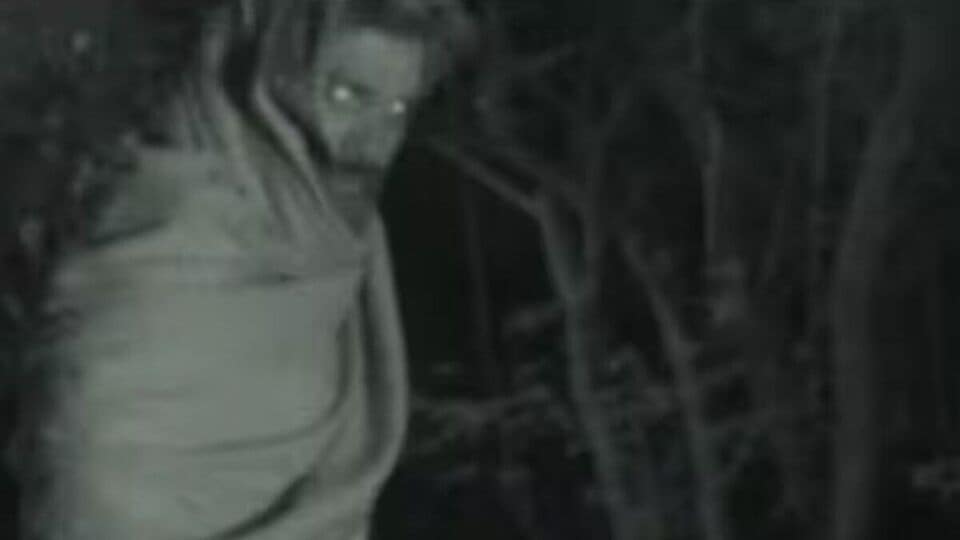 Pushpa 2: புலி பதுங்குனா புஷ்பா வரான்னு அர்த்தம்.. புஷ்பா 2 கான்செப்ட் ...